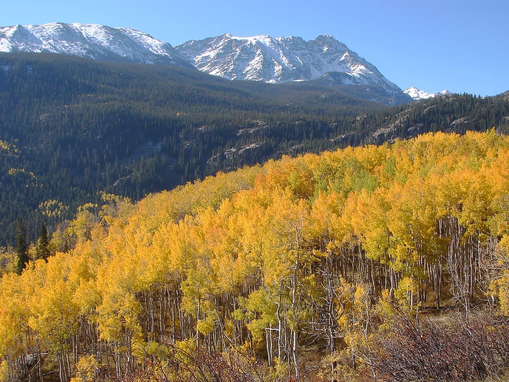 Top 5 Vail Hikes to see Beautiful Fall Colors - Peak 1 Express
